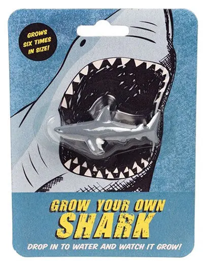 REX International Igračka Grow Your Own Shark