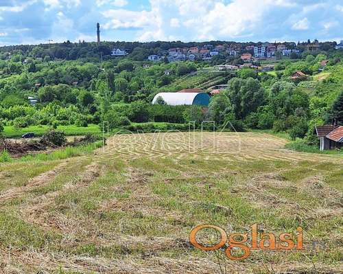 PETROVARADIN - ALIBEGOVAC - 608.00 m2