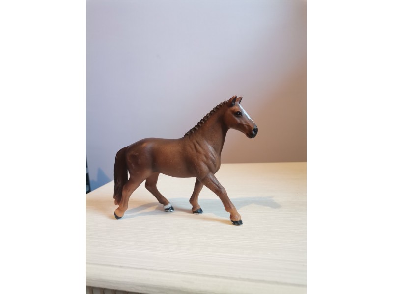 Schleich konj