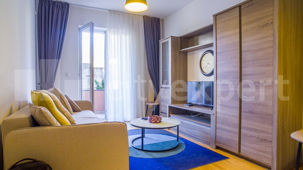 Stan za izdavanje BEZ PROVIZIJE: Garsonjera, 28m², Mitrovdanska, Voždovac - 390€