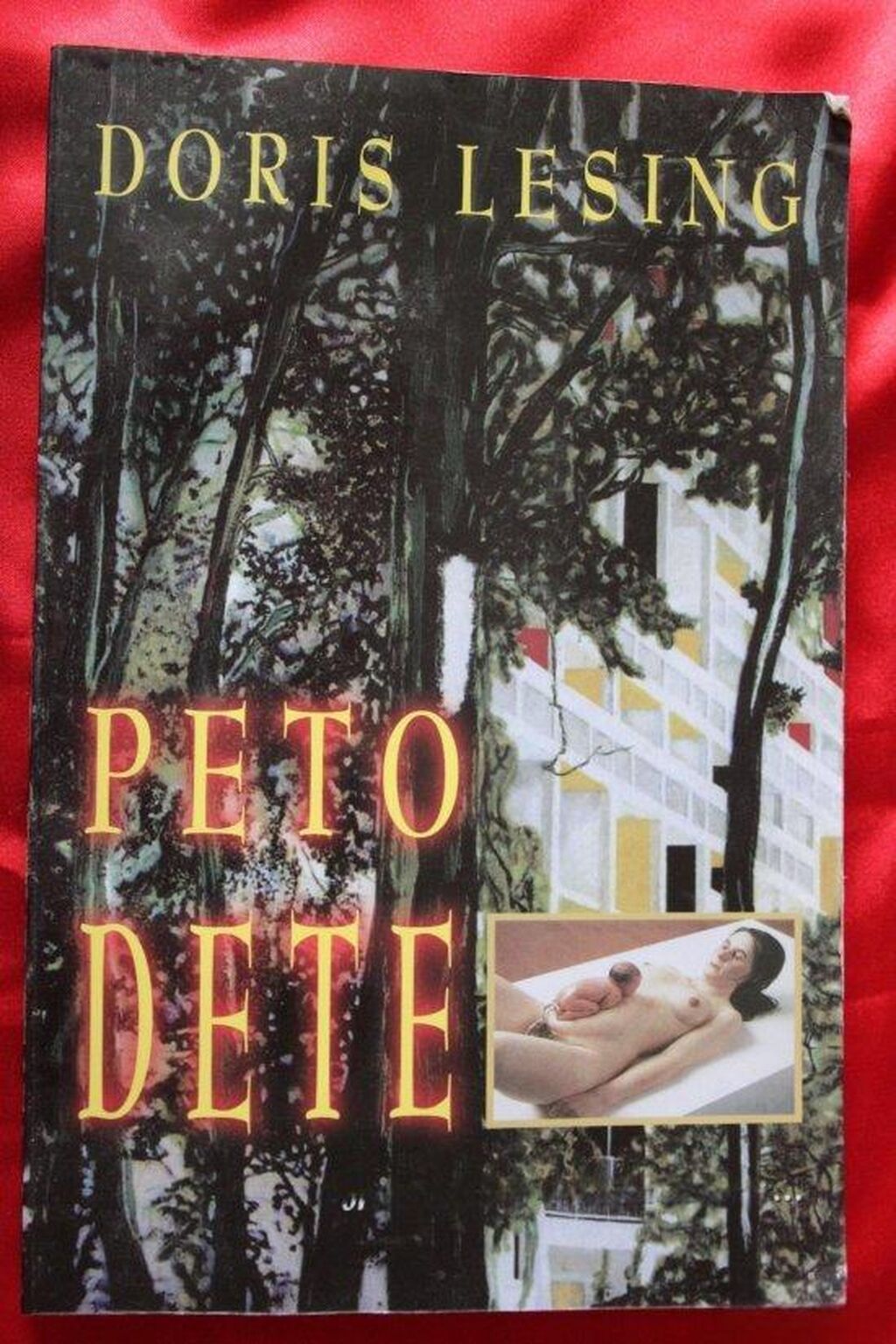 PETO DETE, DORIS LESING | Peto Dete, Doris LesingOčuvanost 4. Stanje