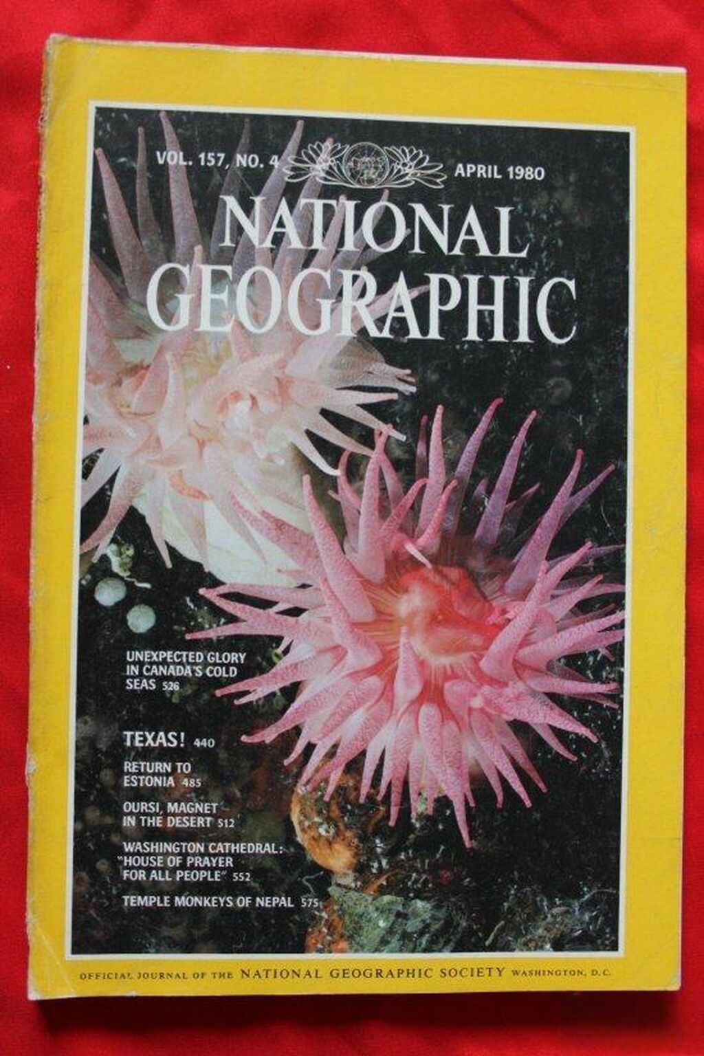 NATIONAL GEOGRAPHIC APRIL 1980. | National Geographic April 1980