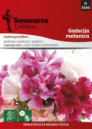 Seme za cveće Godecija mešavina - Godetia grandiflora 3540