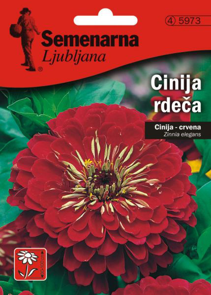 Cveće Cinija elegans - crvena - Zinnia elegans 5973