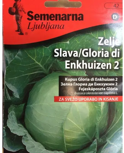 Povrće - seme - Kupus Slava - Brassica oleracea var. capitata L.- 42