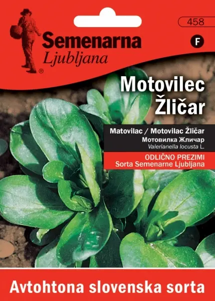 Seme za Matovilac žličar - Valerianella locusta 458