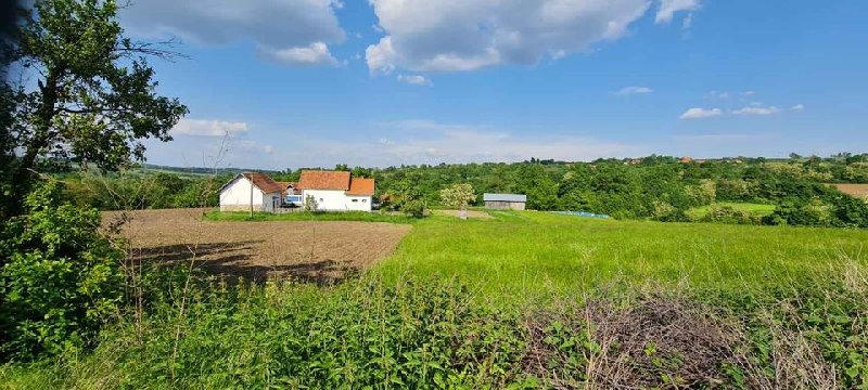 Izuzetna velika parcela sa kućom i objektima