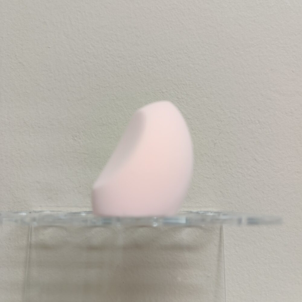 Beauty blender