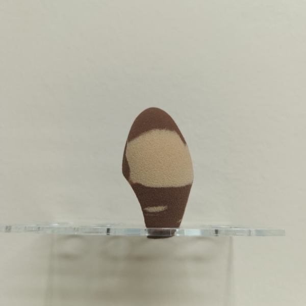 Beauty Blender