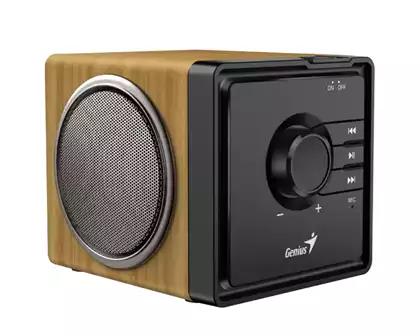GENIUS SP-916BT Pine Wood Bluetooth zvučnik