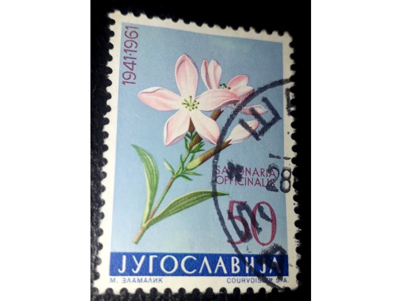YU 1961 flora