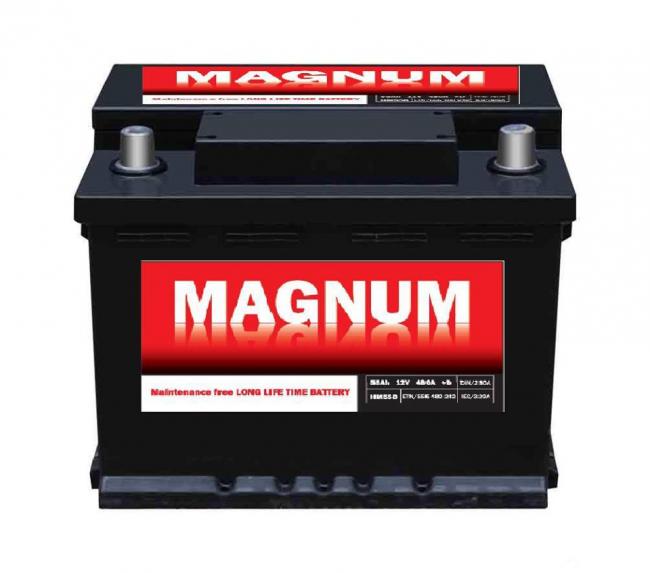 Magnum
12V 55AH L+