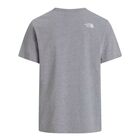 MUŠKA MAJICA TNF EVOLUTION HALF DOME REGULAR SHORT SLEEVE TEE