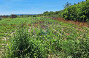 Prodajem Građevinsko Zemljište, Klisa