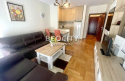 Novi Sad, Sajam, Bulevar kralja Petra, 1.5, 45m2, 500EUR