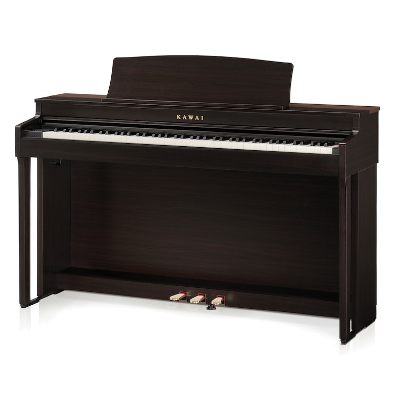 KAWAI CN 301 R