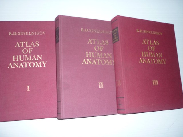 Sinelnikov ATLAS OF HUMAN ANATOMY