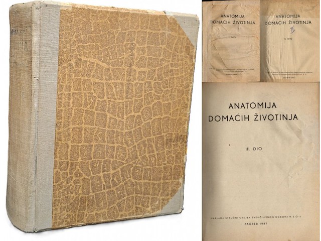 ANATOMIJA DOMAĆIH ŽIVOTINJA 1-3 (retko!)