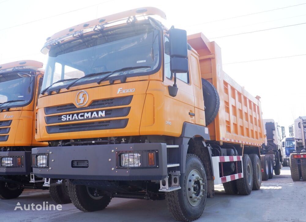 Shacman F3000 Dump Truck for Sale Price kiper