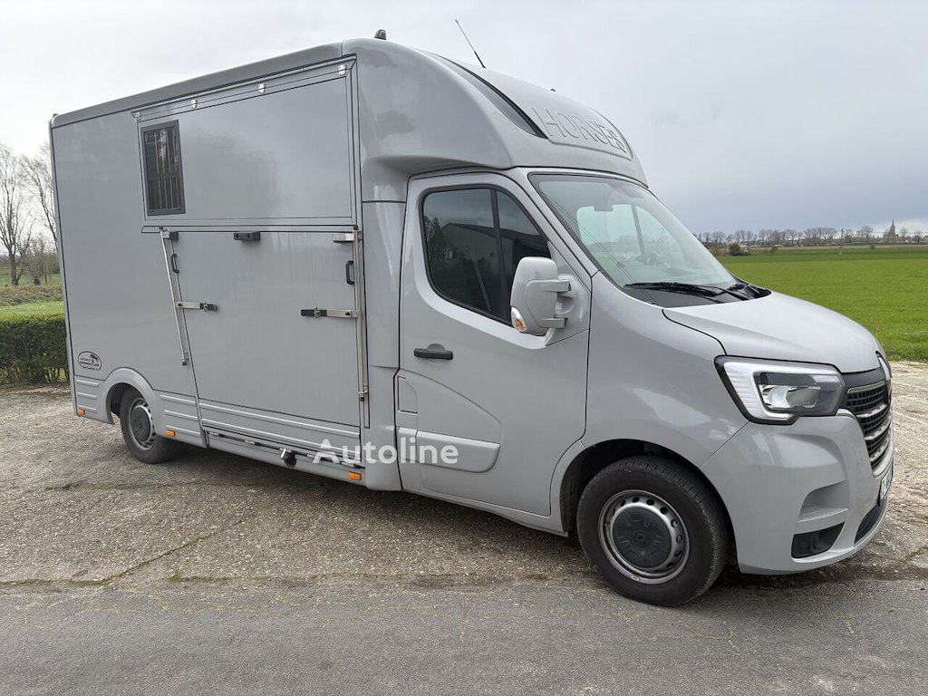 Renault Master vozilo za prevoz konja