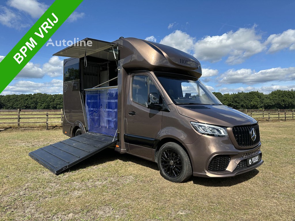 Mercedes-Benz Sprinter 319 AMG 2-paards paardenvrachtwagen vozilo za prevoz konja