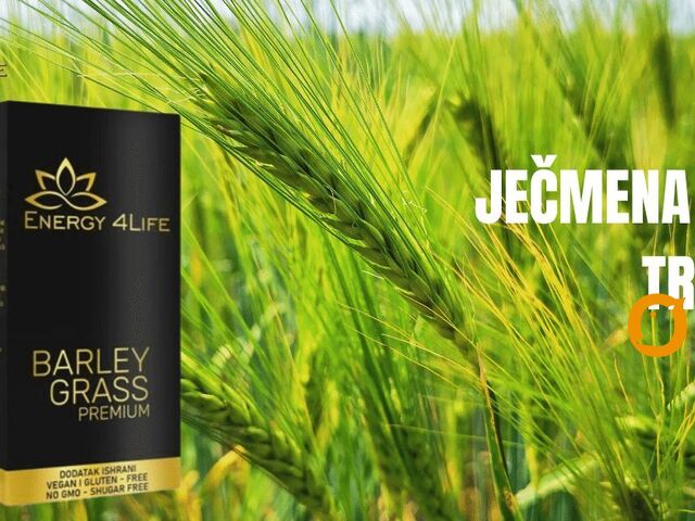 Barley Grass Premium – Ječmena trava