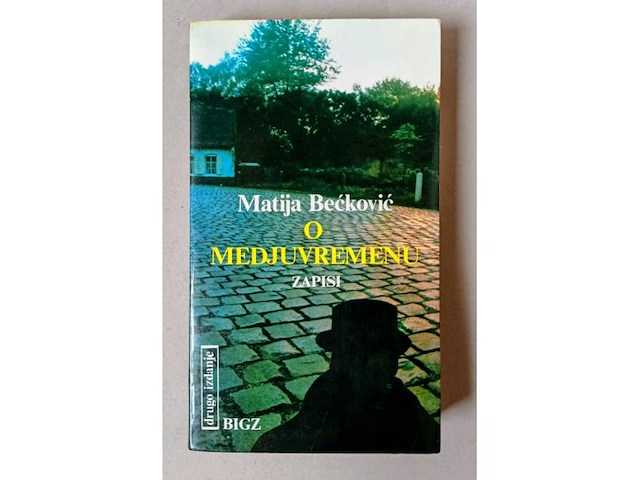 O MEĐUVREMENU zapisi - Matija Bećković