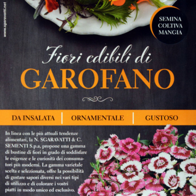 Seme Karanfil- jestivo cveće