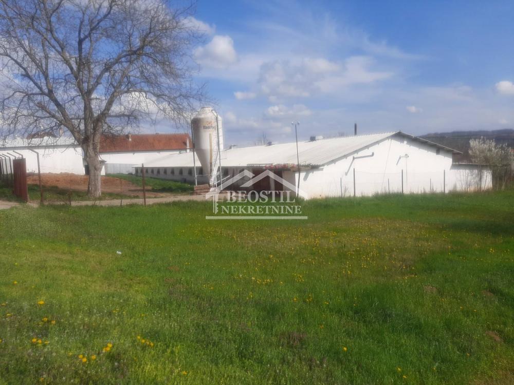 Grocka - Umčari - Farma na 19a ID#24917
190.000 €