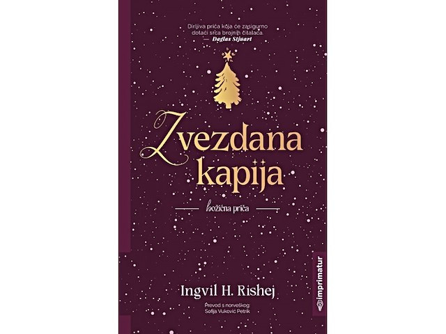 Zvezdana kapija – božićna priča - Ingvil H. Rishej