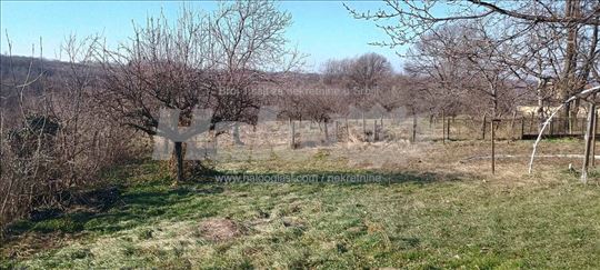 Beogradska ulica -Jedinstvena ponuda!