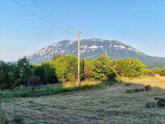 9 hektara i vikendica u podnožju Rtnja