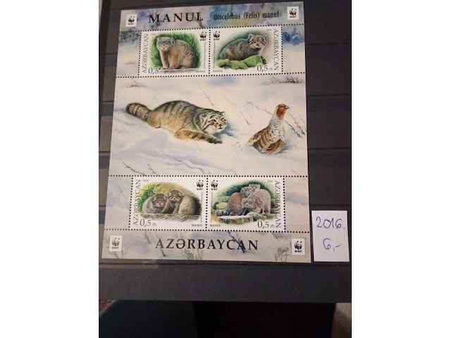 WWF Azerbejdžan 2016