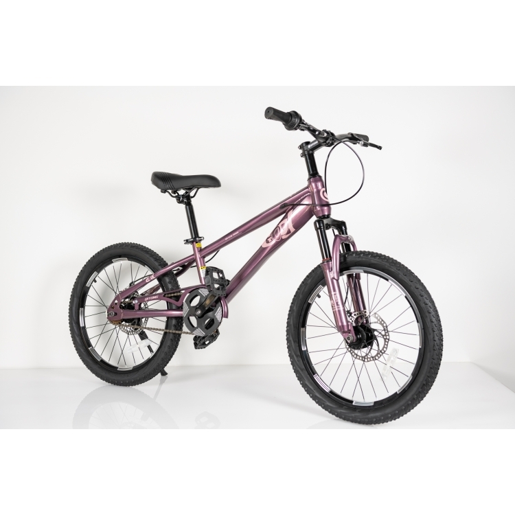 Winnerbike Dečiji bicikl 20/1-tn24q22-purple Bck0407ID: EK000842330
