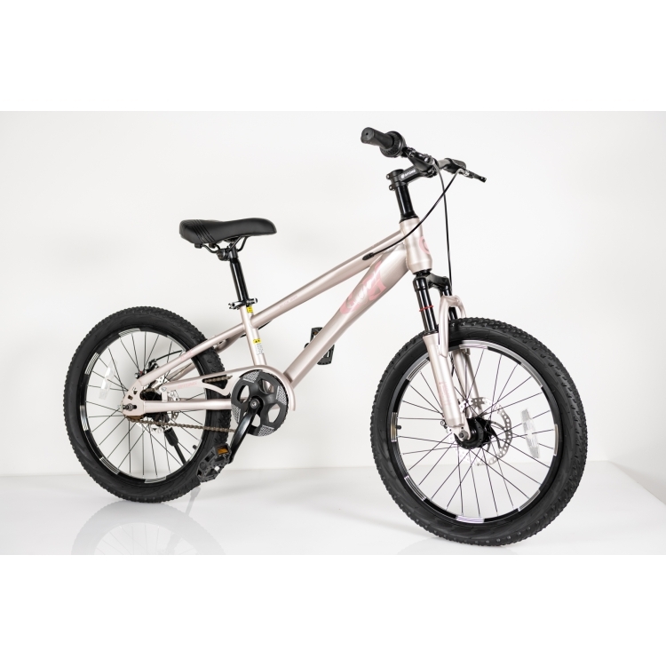 Winnerbike Dečiji bicikl 20/1 -tn24q22- champagne/pink Bck0408ID: EK000842342