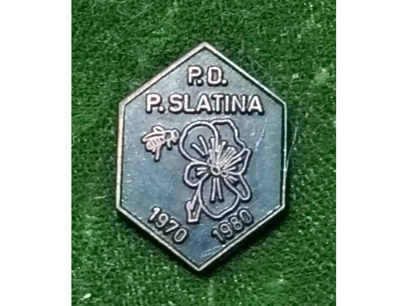 PLANINARSKO DRUŠTVO P.SLATINA 1970-1980.