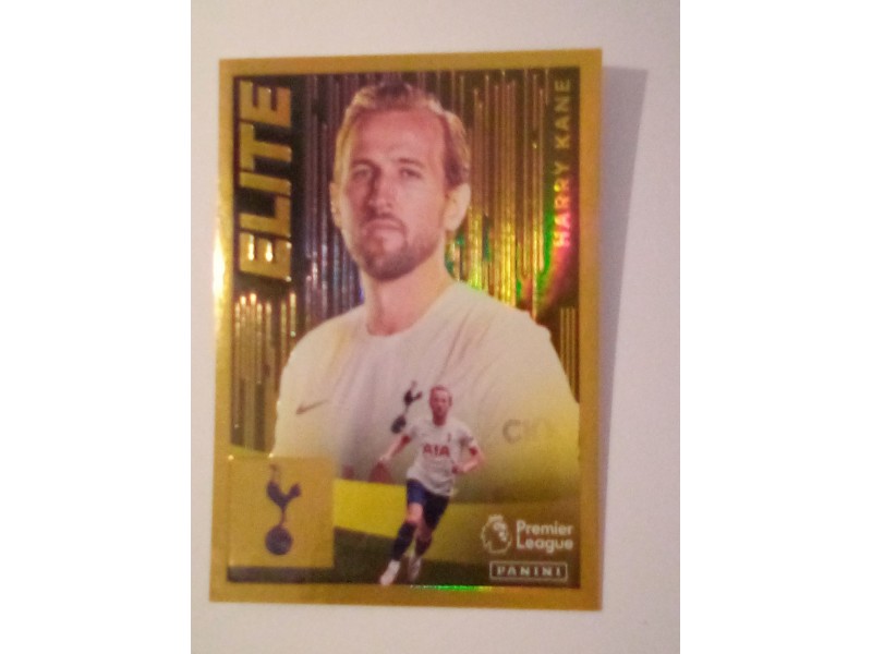 HARRY KANE ELITE Premier League 2022 MINT
