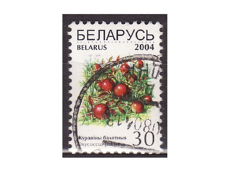 belorusija - uskrs 2004.