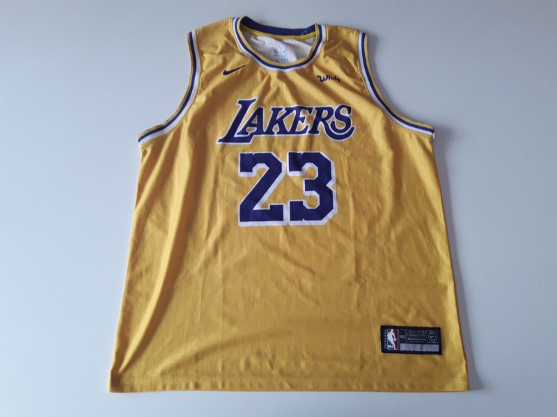 NBA lakers james #23