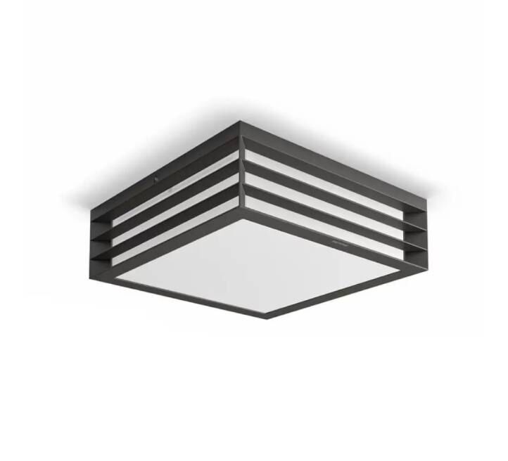 Philips Plafonjera 2x60 W E27 230 V