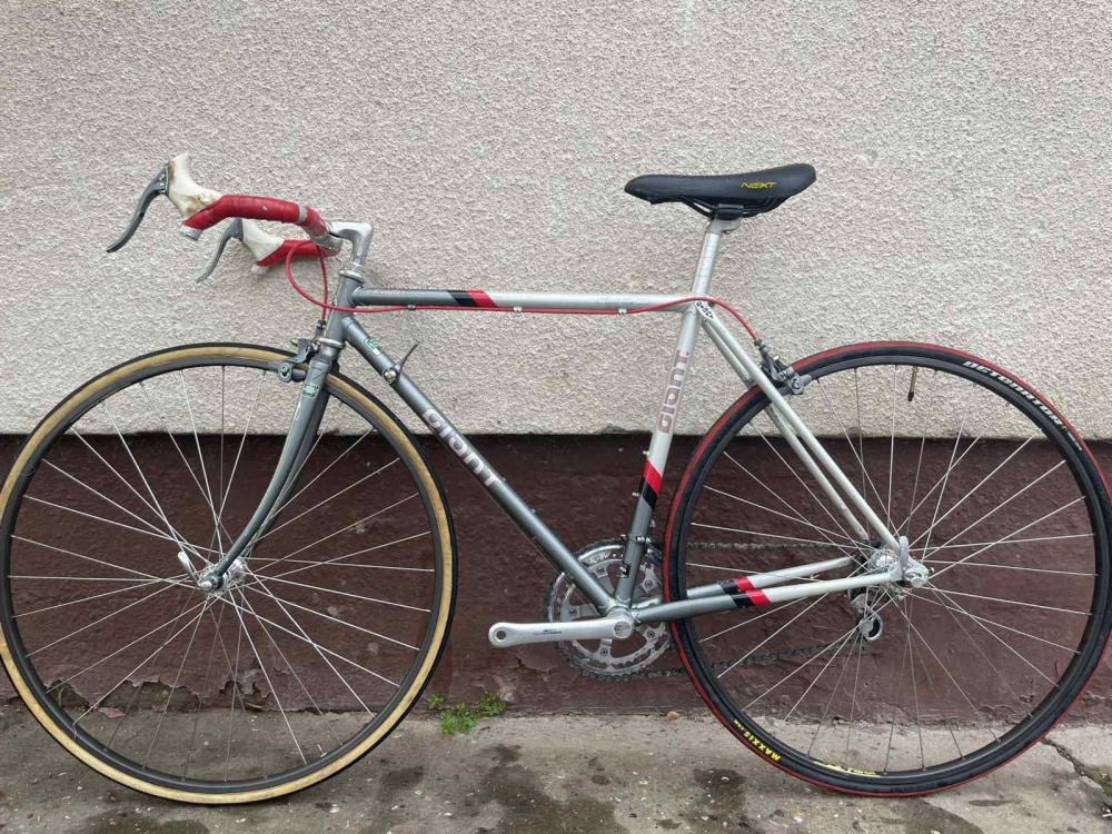 GIANT LEDER