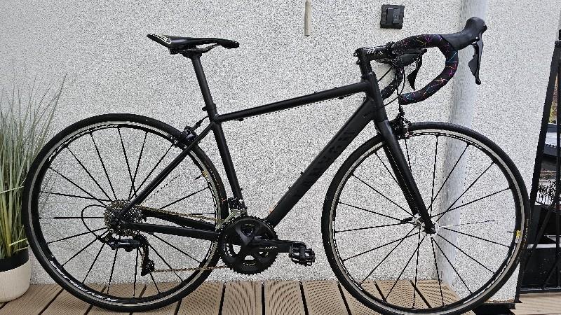 Canyon Endurance Al
