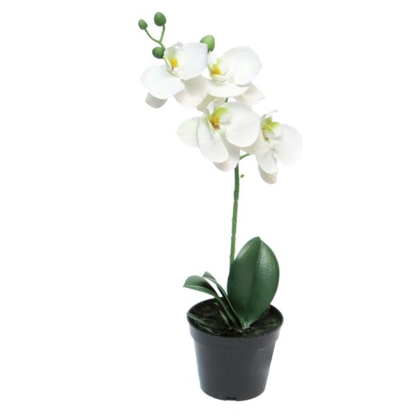 DEKOR DOM Cvet u saksiji ORCHID 35cm 51345-0 - White - NNT
