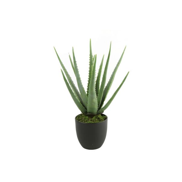 DEKOR DOM Cvet u saksiji ALOE 49cm 768198 - Green - DCS