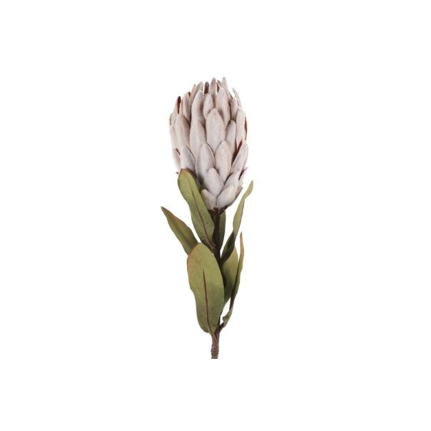 DEKOR DOM Cvet PROTEA 61cm 789508 - Pink - DCS