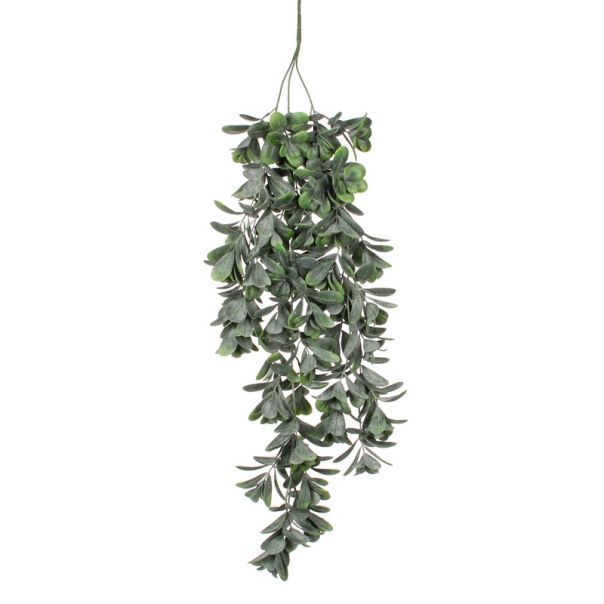 DEKOR DOM Cvet CRASSULA 79cm 1021018 - Green - EDL
