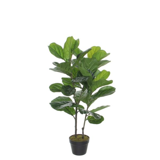 DEKOR DOM Cvet u saksiji FICUS LYRATA 100cm 1040427 - Green - EDL
