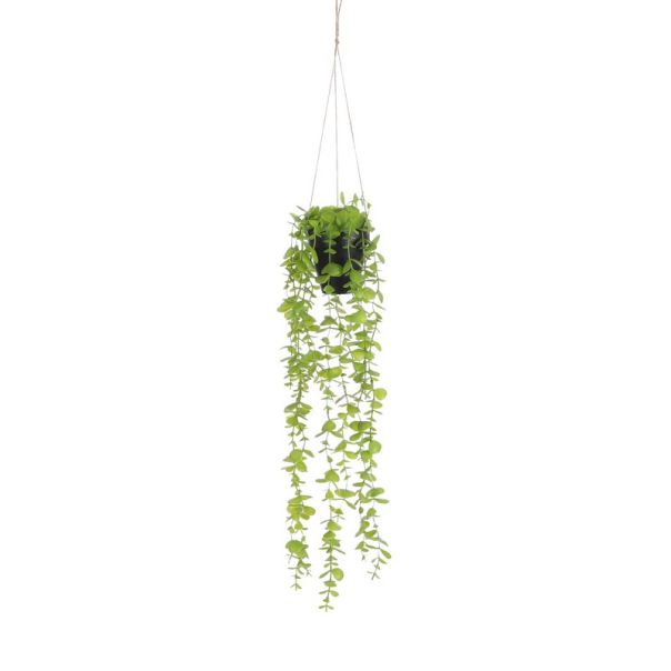 DEKOR DOM Cvet u saksiji EUCALYPTUS 54cm 1083464 - Green - EDL