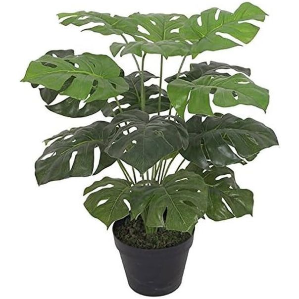 DEKOR DOM Cvet u saksiji - MONSTERA ZD-BYBG25-PGJ5 - 32cm - N55