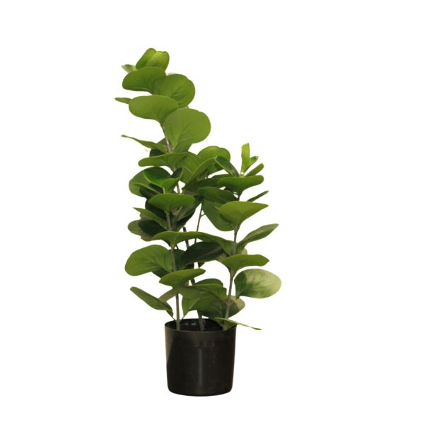 DEKOR DOM Cvet u saksiji - DOUBAN YH1908-55cm-66L - 55cm - N55